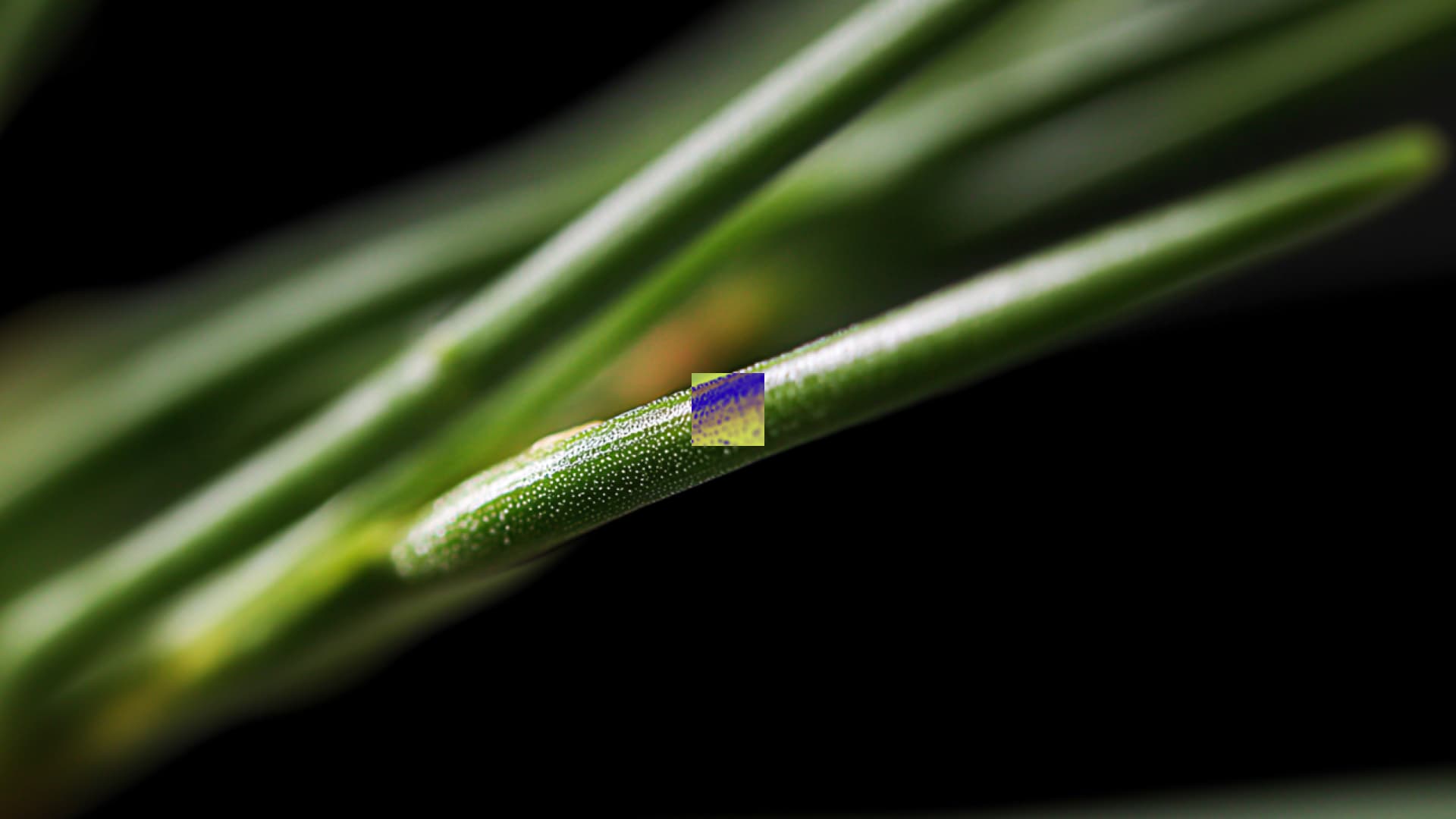 Benefits of High Resolution Hyperspectral Imaging